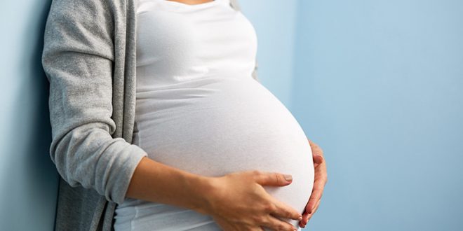 I 23 Semanas de Embarazo ⇒ 【El Bebé Siente Todo】 ️