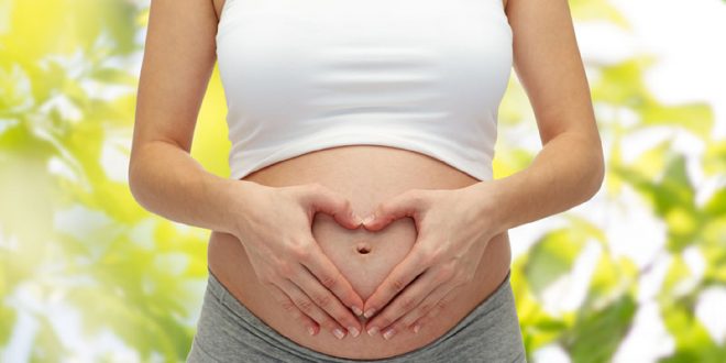 28 Semanas de Embarazo ⇒ 【¡El Bebé ya Percibe!】 ️