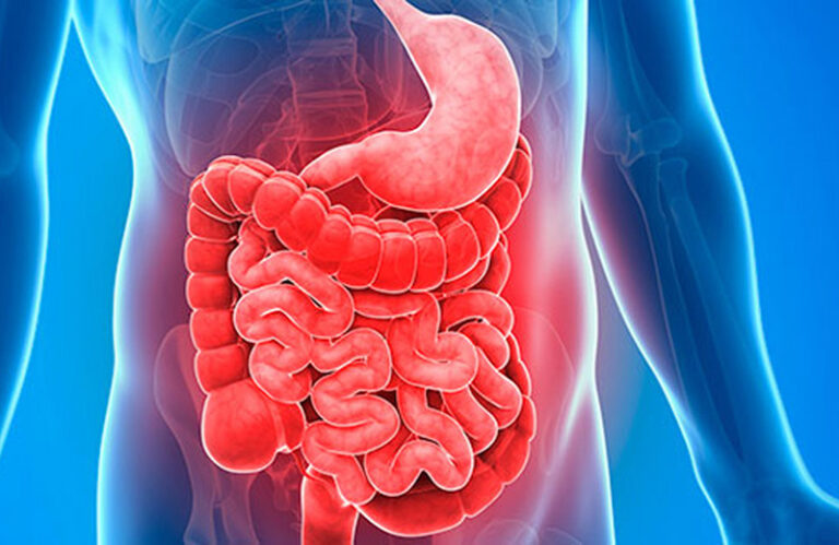 ⊛ 【 Qué Hacer Ante un Corte de Digestión en Niños 】 ️