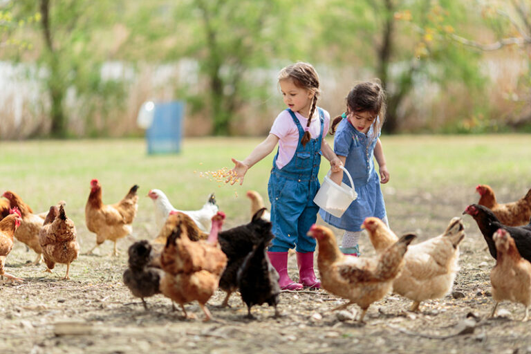 ⊛ Las 8 Mejores Granjas Escuela para Niños ⇒ ¡Guía! ️